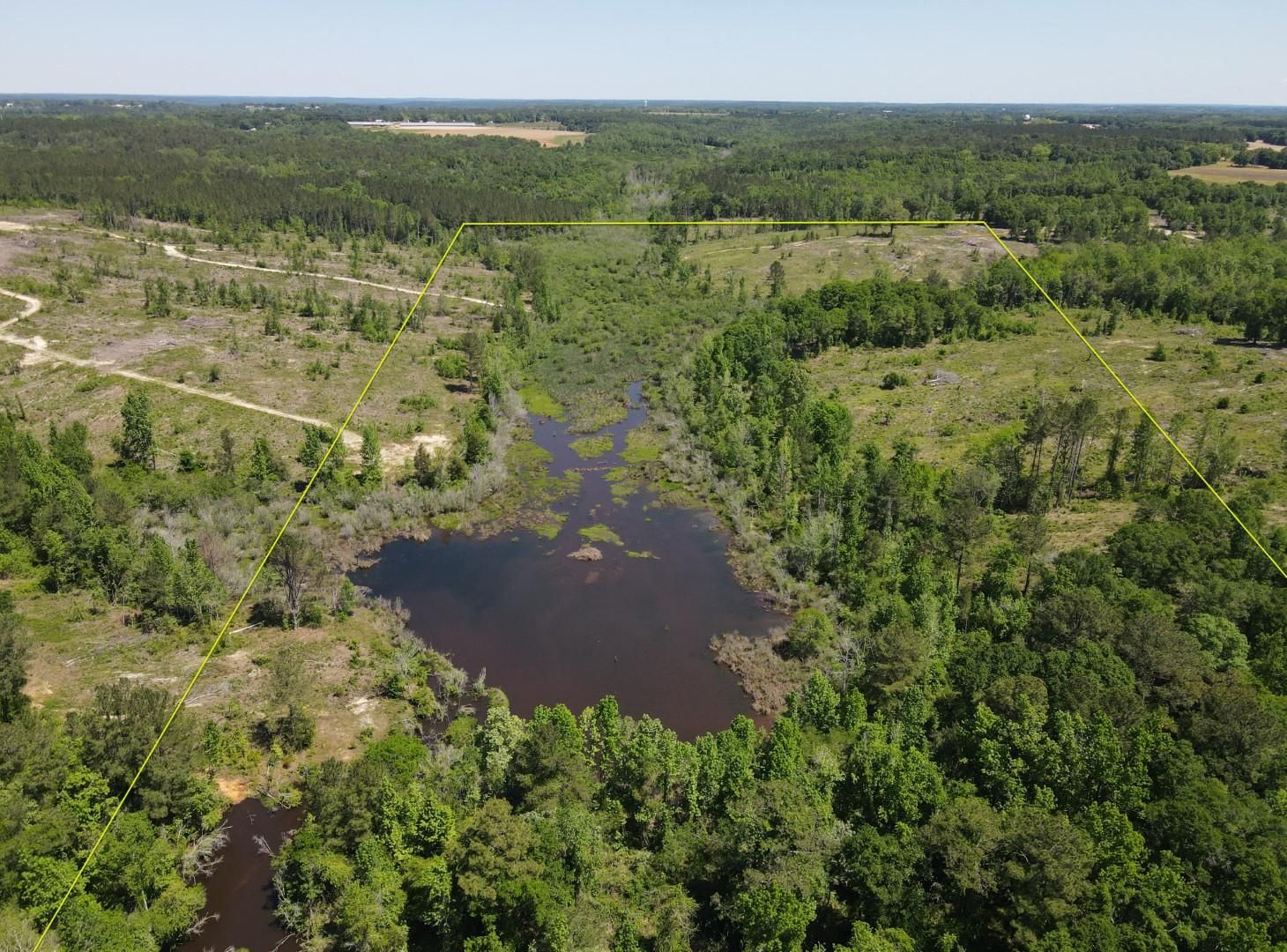 67 acres in Echo, AL, 36360 | LandWatch