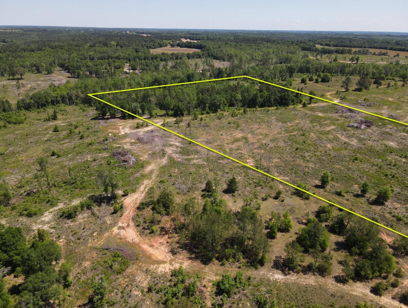 Ammons Pond Road, Echo, AL 36360 | LandWatch