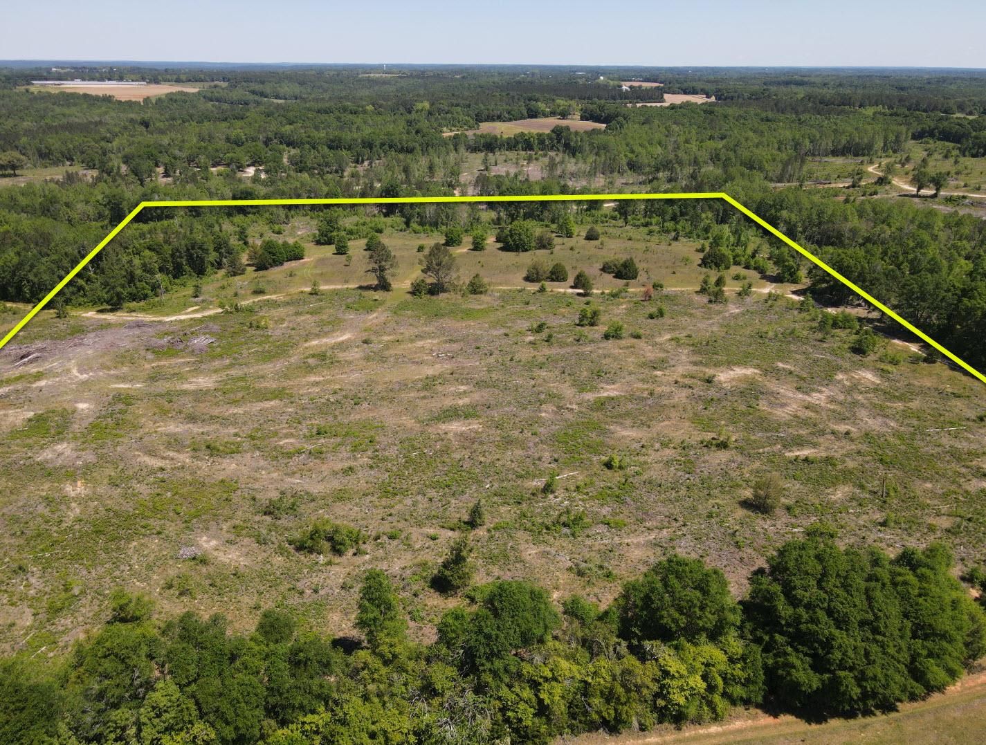 Ammons Pond Road, Echo, AL 36360 | LandWatch