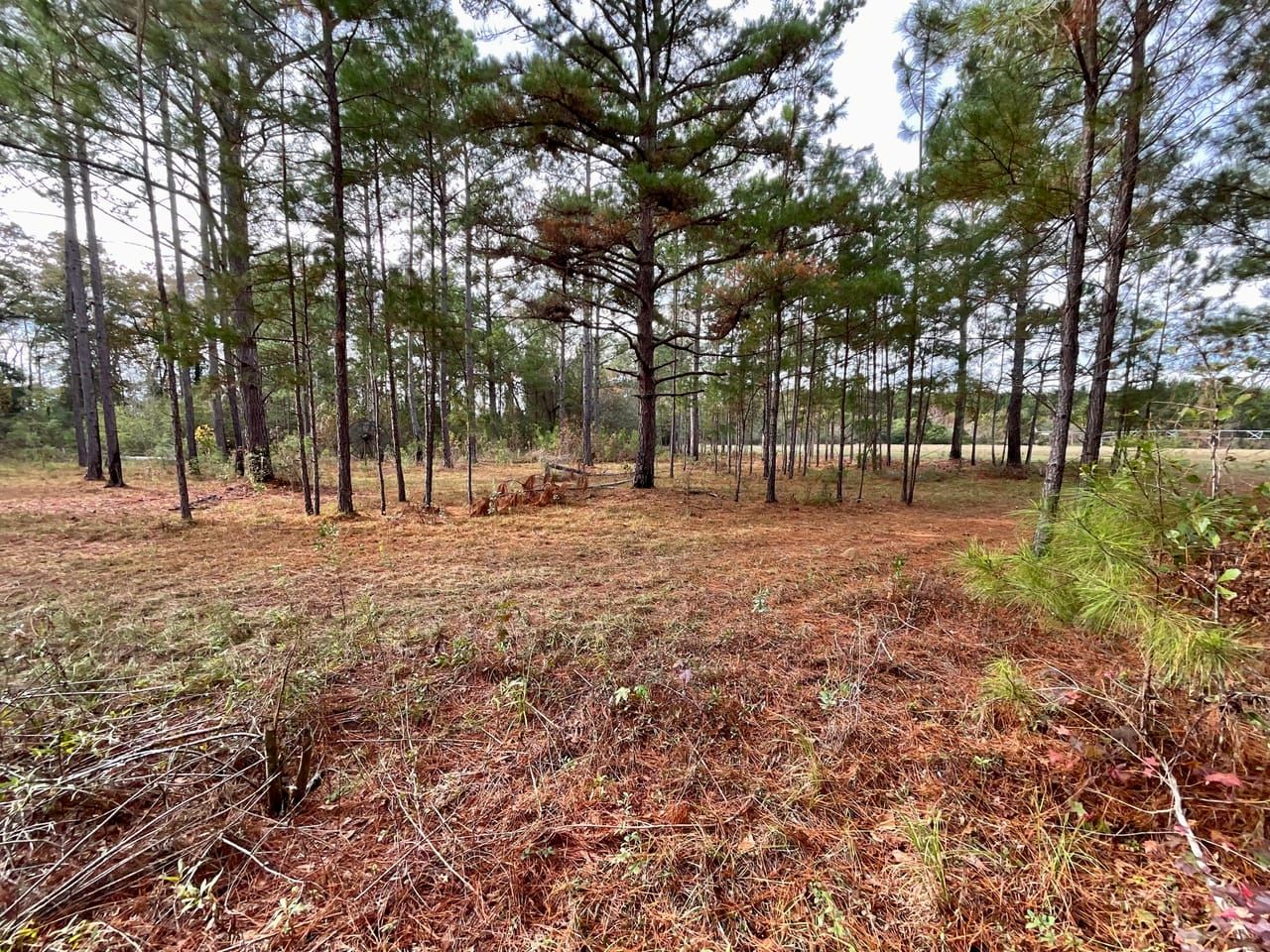 Vacant Stanfield Dr, Pavo, GA 31778 | LandWatch