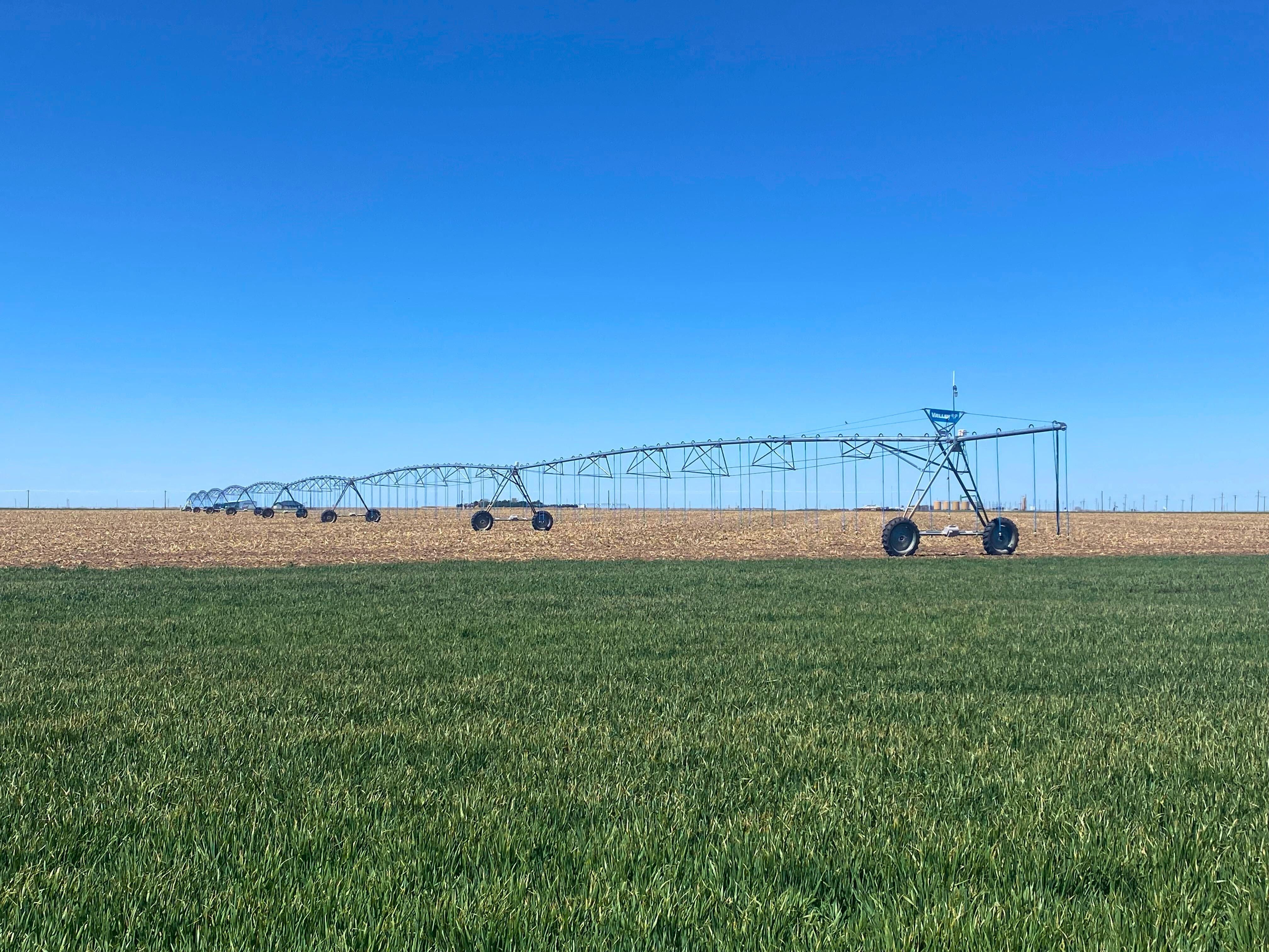 1,278 acres in Spearman, TX, 79081 | MLS: 24-3351 | LandWatch