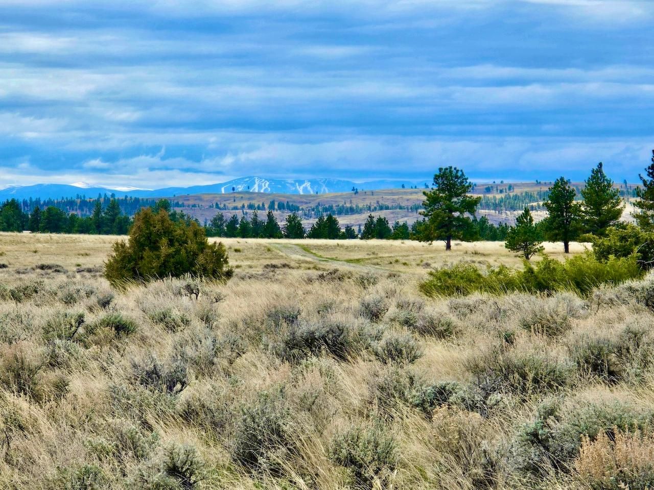 Nhn Prairie Butte Rd., Park City, MT 59063 | LandWatch