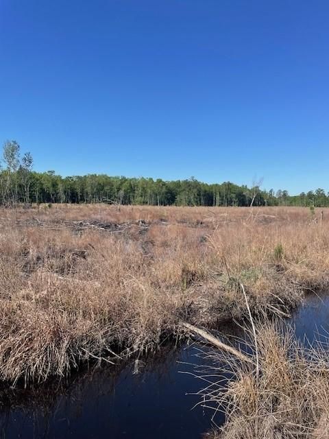 Cox Road, Townsend, GA 31331 | LandWatch