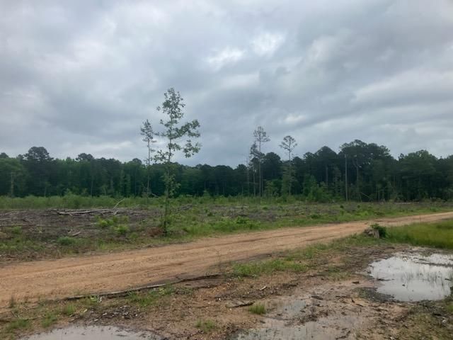 Oglee Road, Springhill, LA 71075 | LandWatch