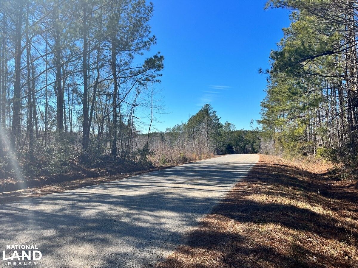 Tamola Road, Scooba, MS 39358 | LandWatch