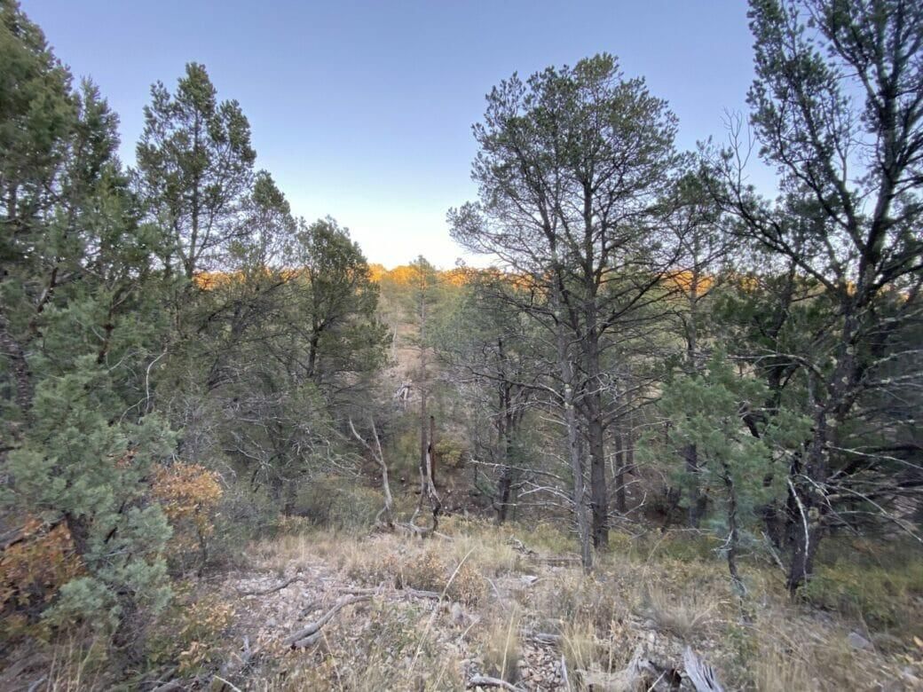 87-67 Bacon Dr, Timberon, NM 88350 | MLS: R044586 | LandWatch