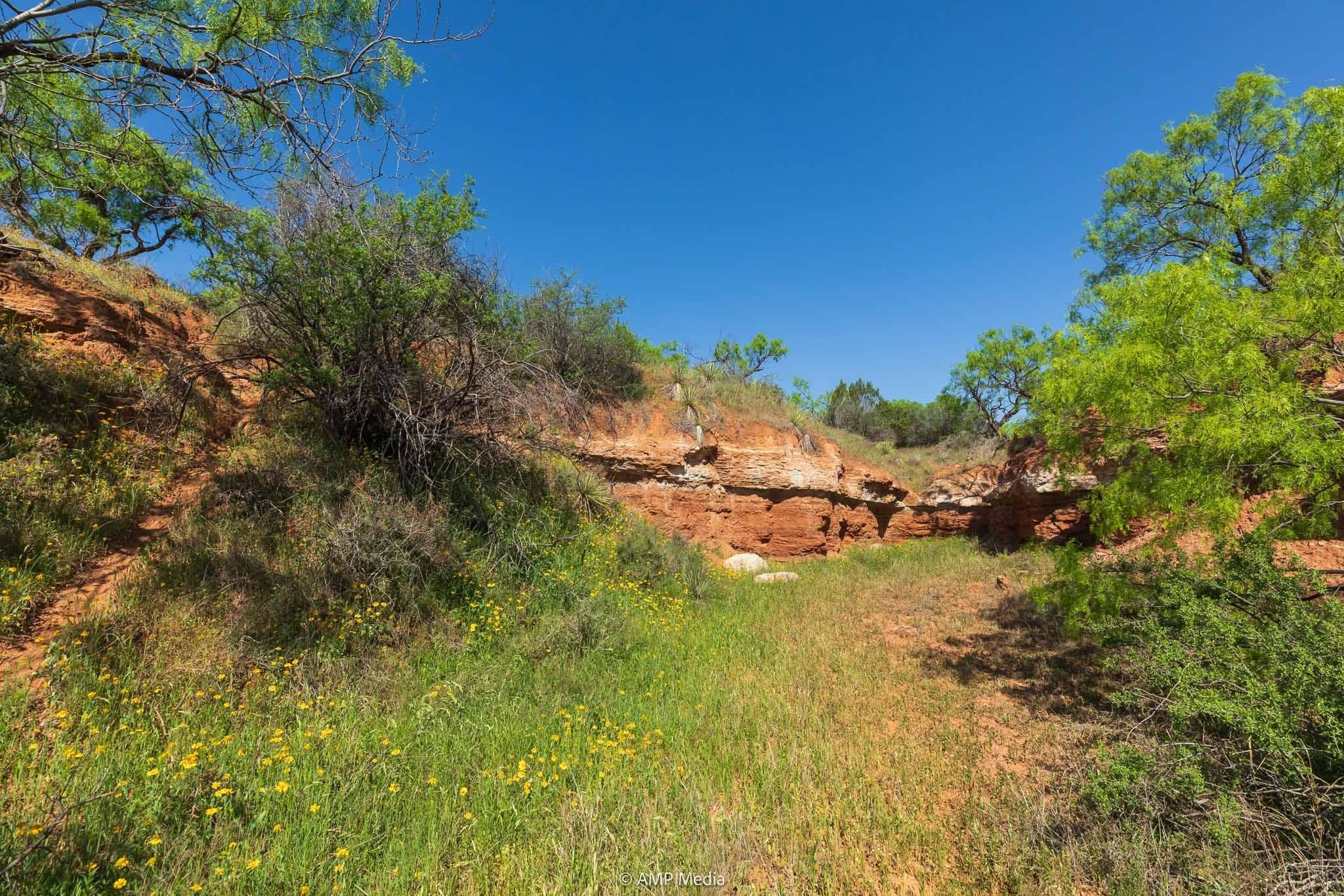 County Road 121, Sweetwater, TX 79556 | LandWatch