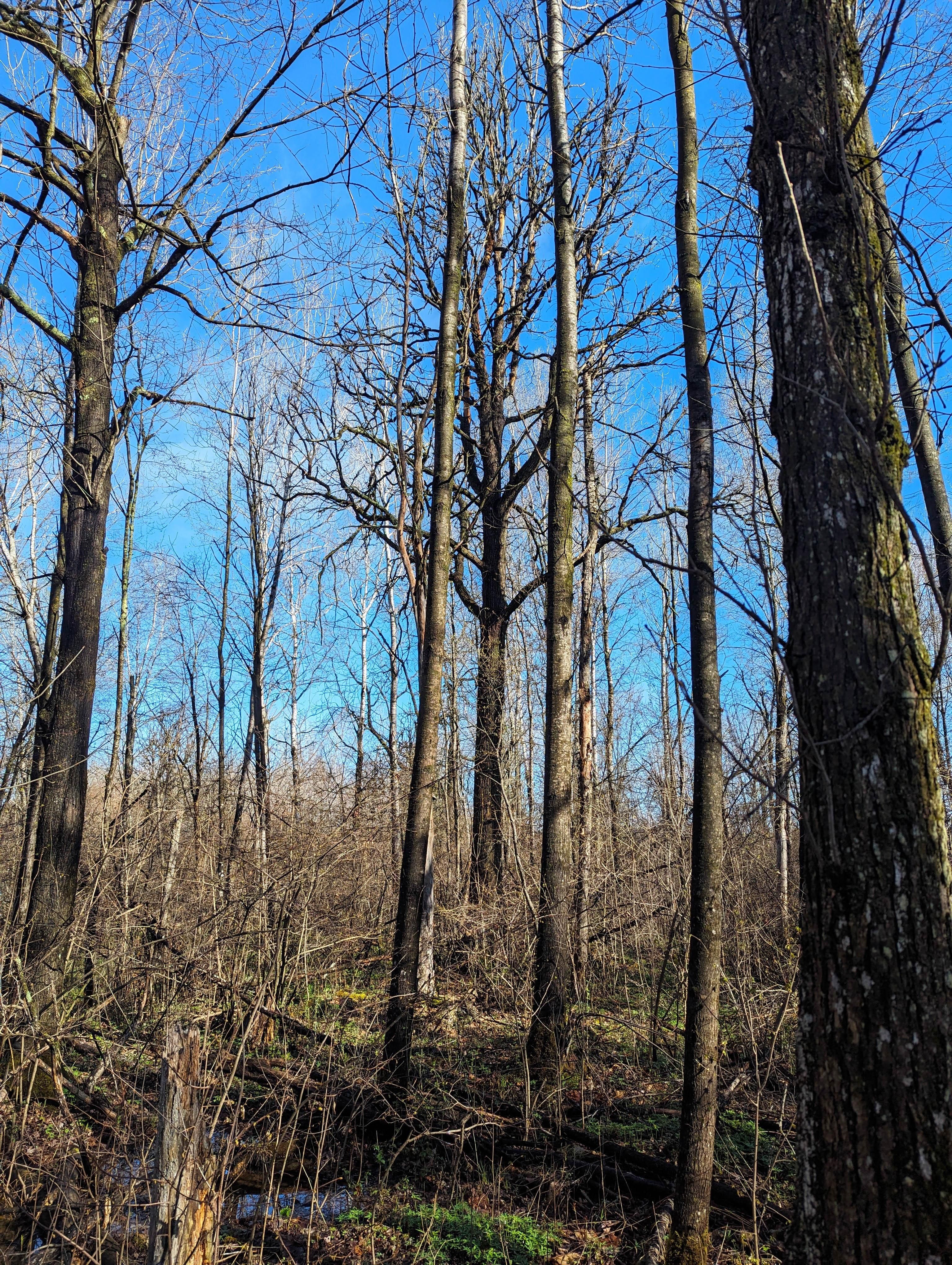 000, Catawba, WI 54515 | LandWatch