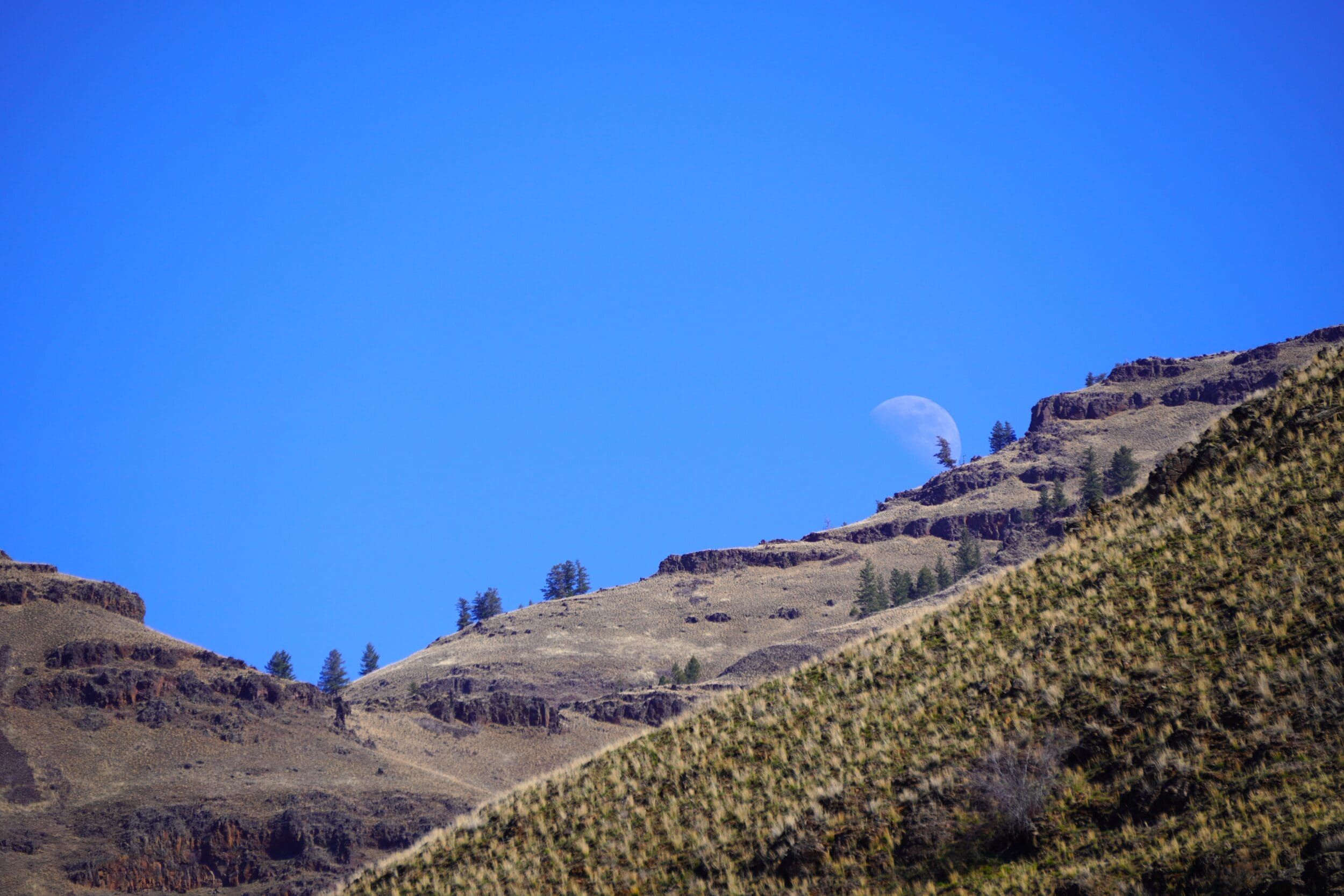 02N4820D0-101, Imnaha, OR 97842 | LandWatch