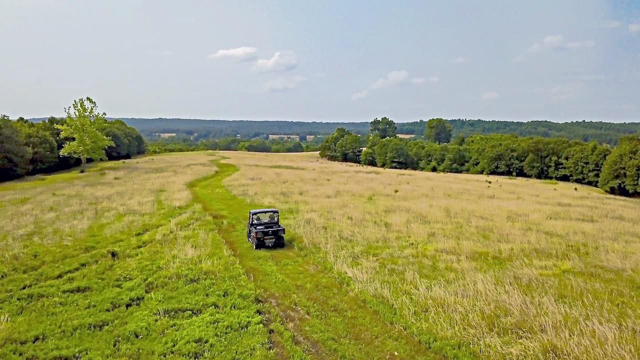 6830 State Highway V, Myrtle, MO 65778 | MLS: 60262605 | LandWatch