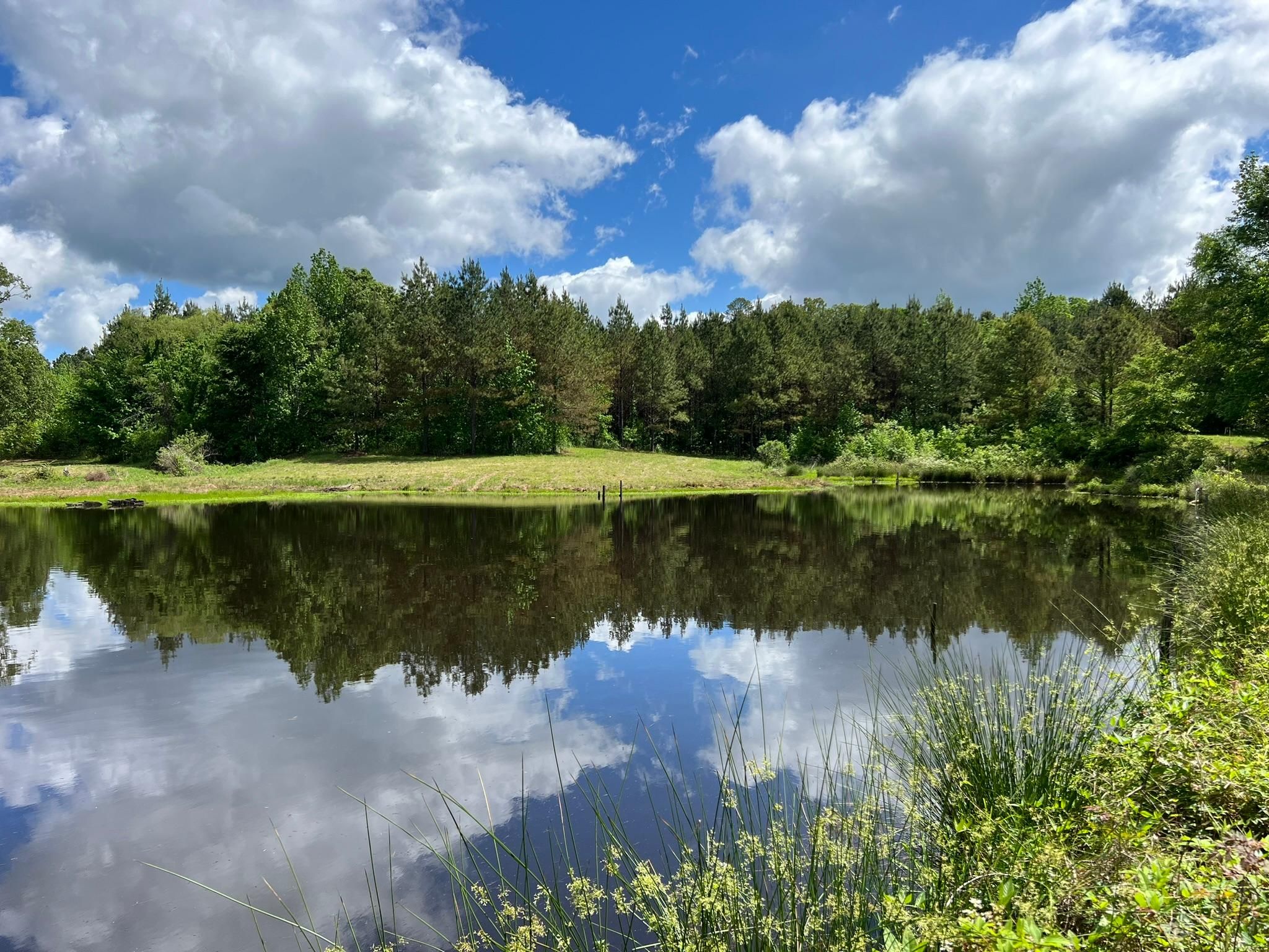 County Road 291, Bruce, MS 38915 | MLS: 158016 | LandWatch