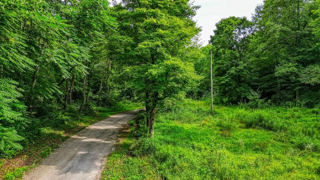 0 W Shoemaker Rd, Latham, OH 45646 | MLS: 190925 | LandWatch