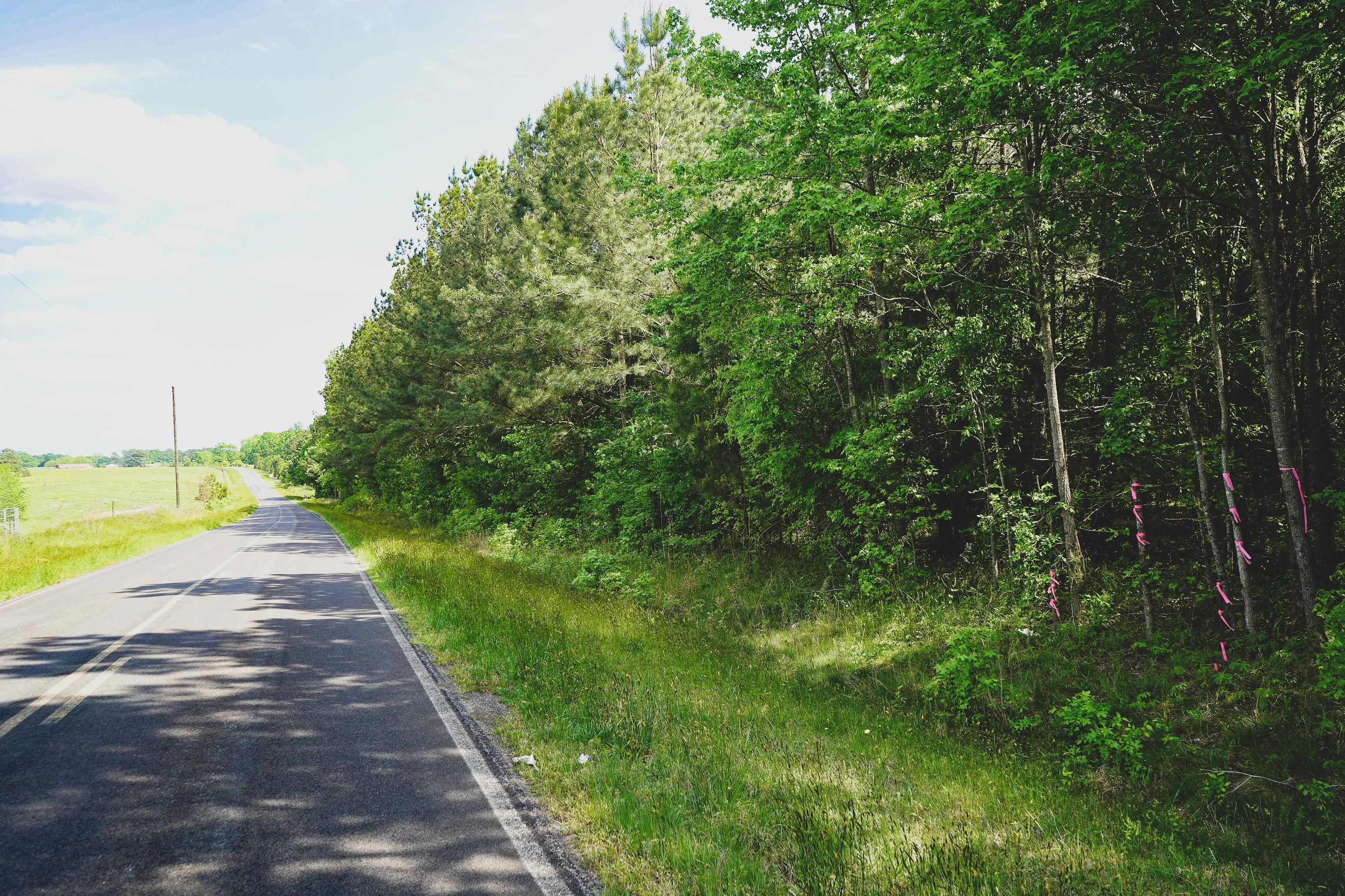 Arthur Wilder Road, Spring Hope, NC 27882 | MLS: 10027625 | LandWatch