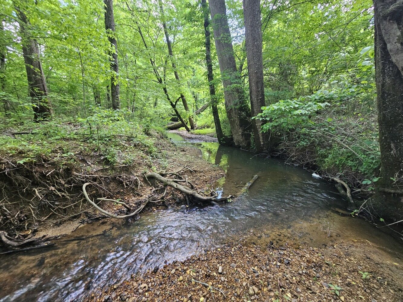 000 Maud Road, Cherokee, AL 35616 | MLS: 11276608 | LandWatch