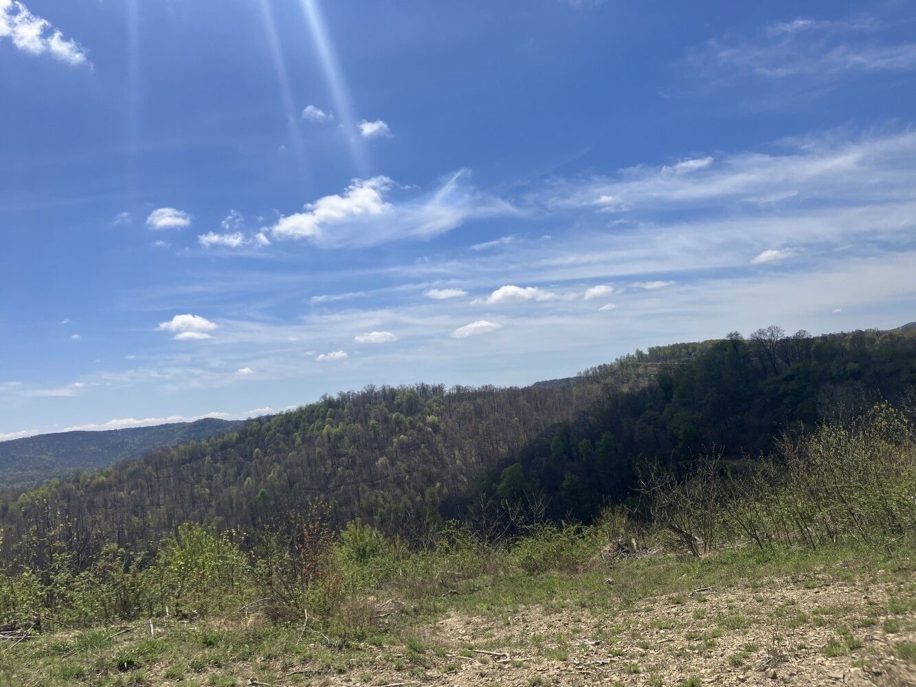 0 County Rd. 51/3, Rodemer, WV 26764 | MLS: 11276611 | LandWatch