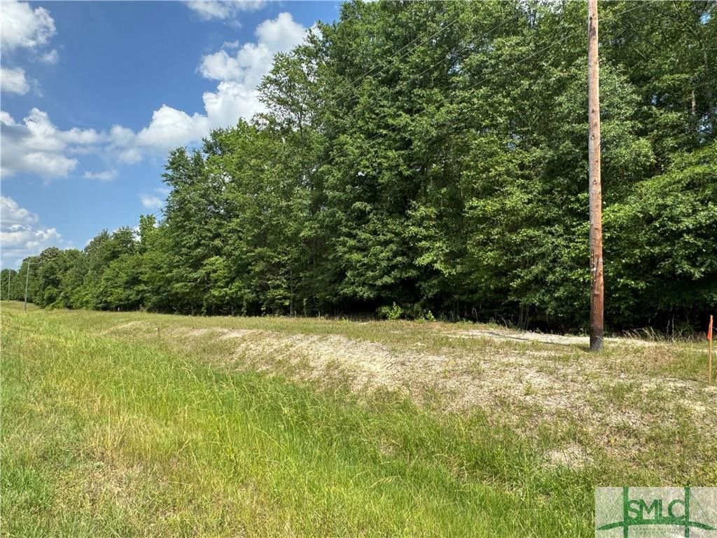 Clyo, Effingham County, GA Undeveloped Land, Homesites for sale ...