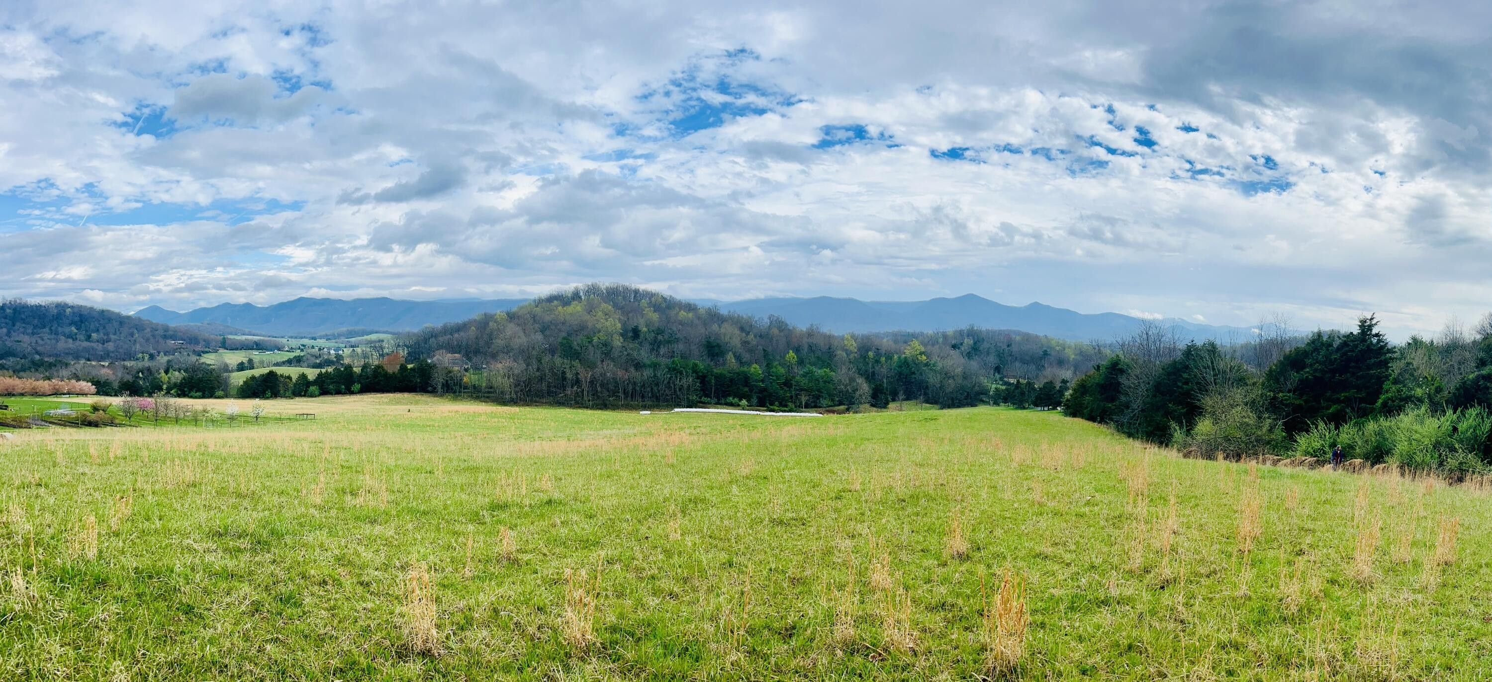 145 Slat Mill Ln, Fairfield, VA 24435 | MLS: 138454 | LandWatch