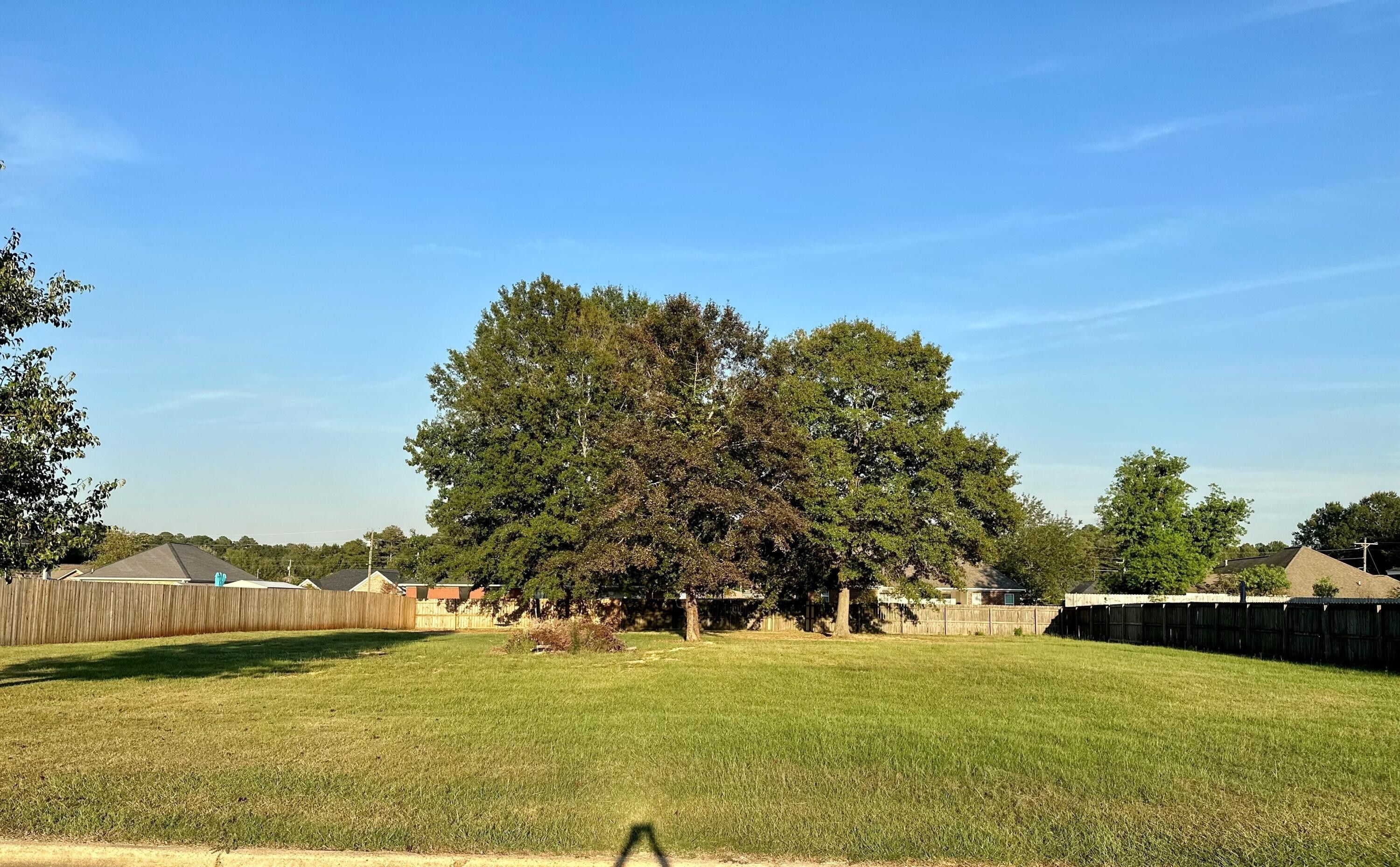 Derek Drive, Columbus, MS 39702 | MLS: 23-1766 | LandWatch