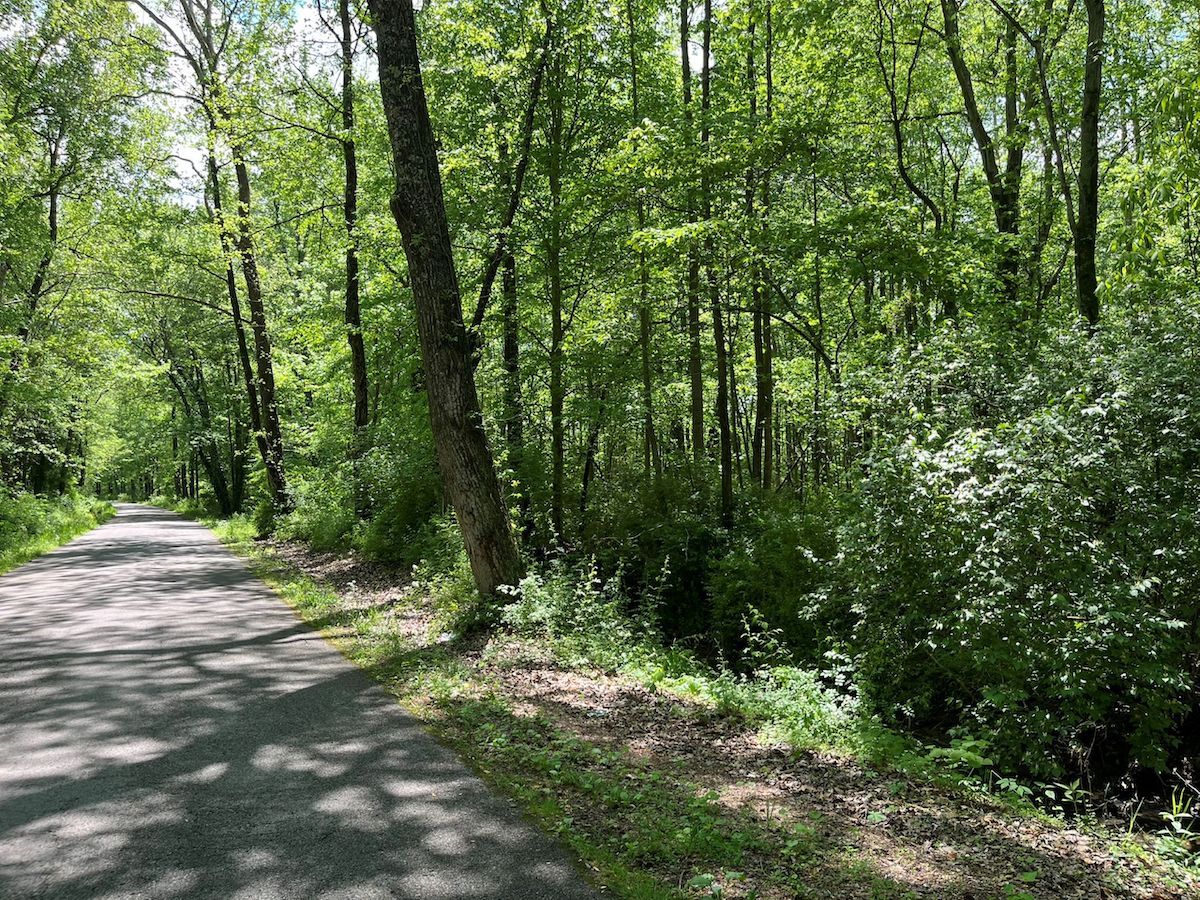 Mine Fork Road, Lot#WP002, Beaver Dam, KY 42320 | LandWatch