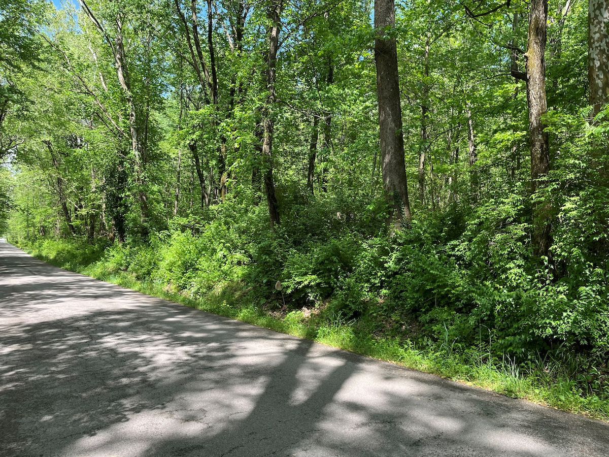 Mine Fork Road, Lot#WP004, Beaver Dam, KY 42320 | LandWatch