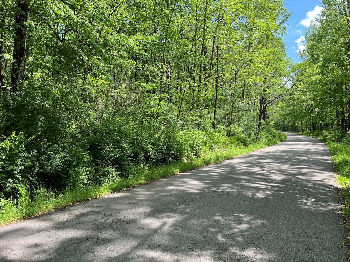 Mine Fork Road, Lot#WP005, Beaver Dam, KY 42320 | LandWatch