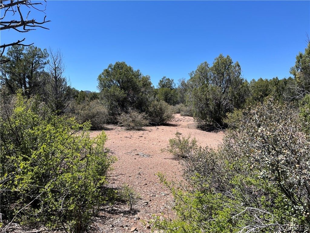 243 E Badger Ridge Road, Kingman, AZ 86401 | MLS: 013449 | LandWatch