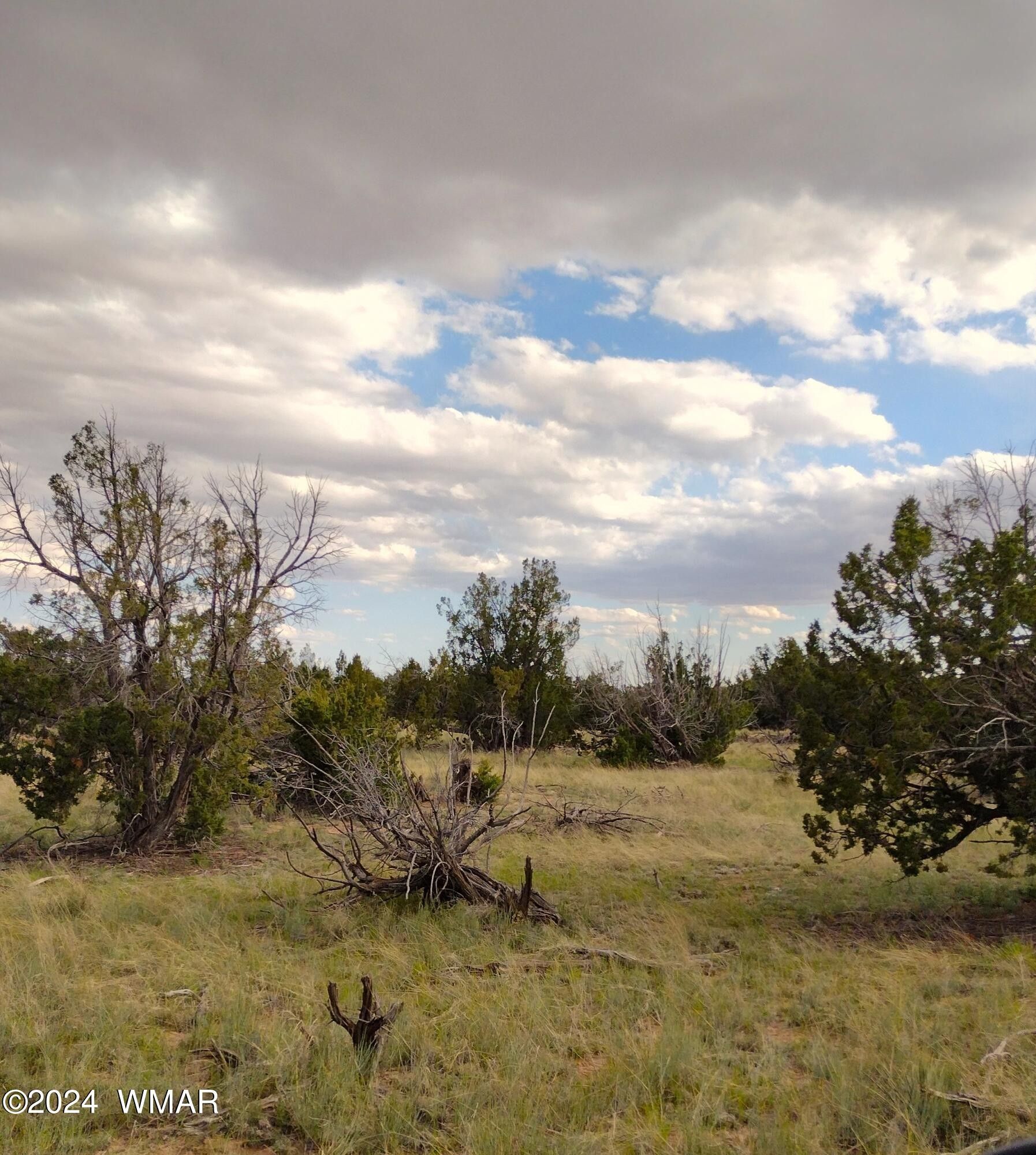 Lot 94a Witch Well Ranches, St Johns, AZ 85936 | MLS: 250912 | LandWatch