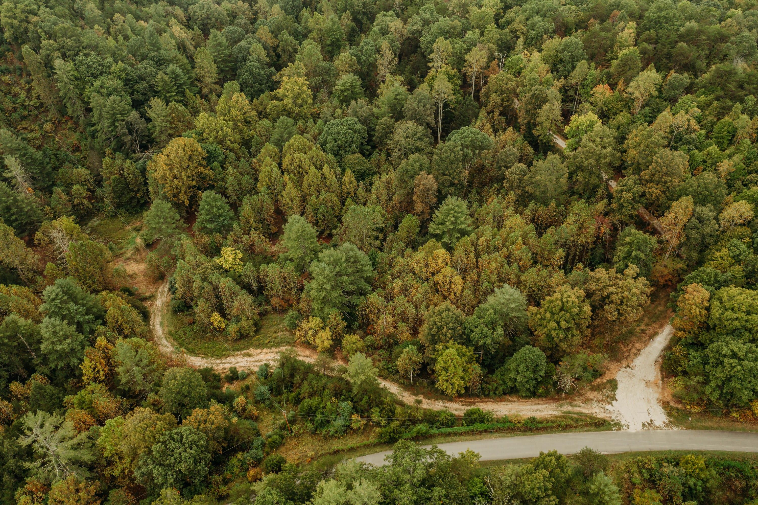 TBD Lot 23 Sandy Ridge Road, Campton, KY 41301 | MLS: 23019039 | LandWatch