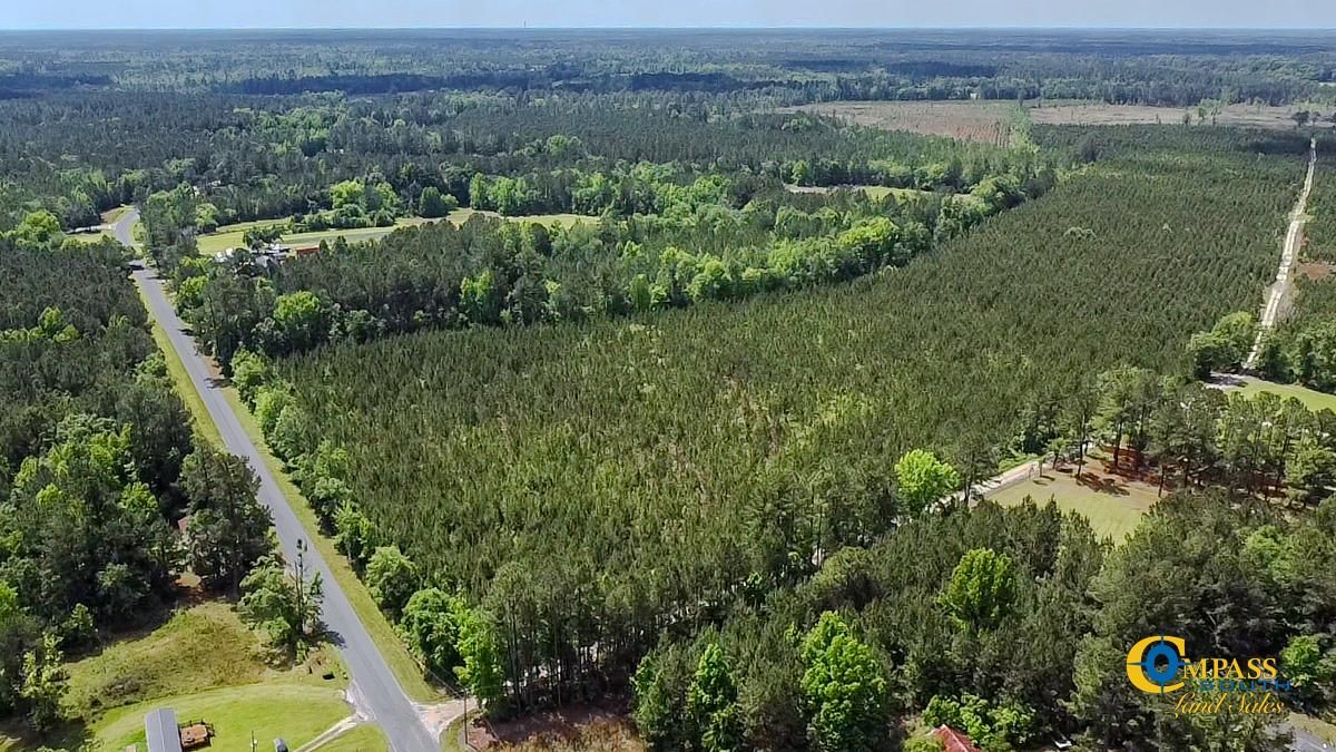 Red Root Road, Ruffin, SC 29475 | LandWatch