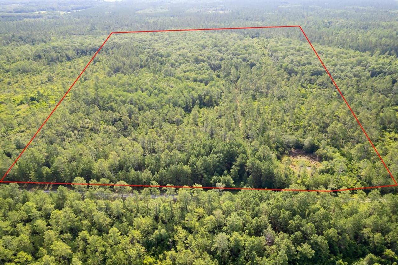 0 SW Naples Terrace, Greenville, FL 32331 | MLS: 361193 | LandWatch