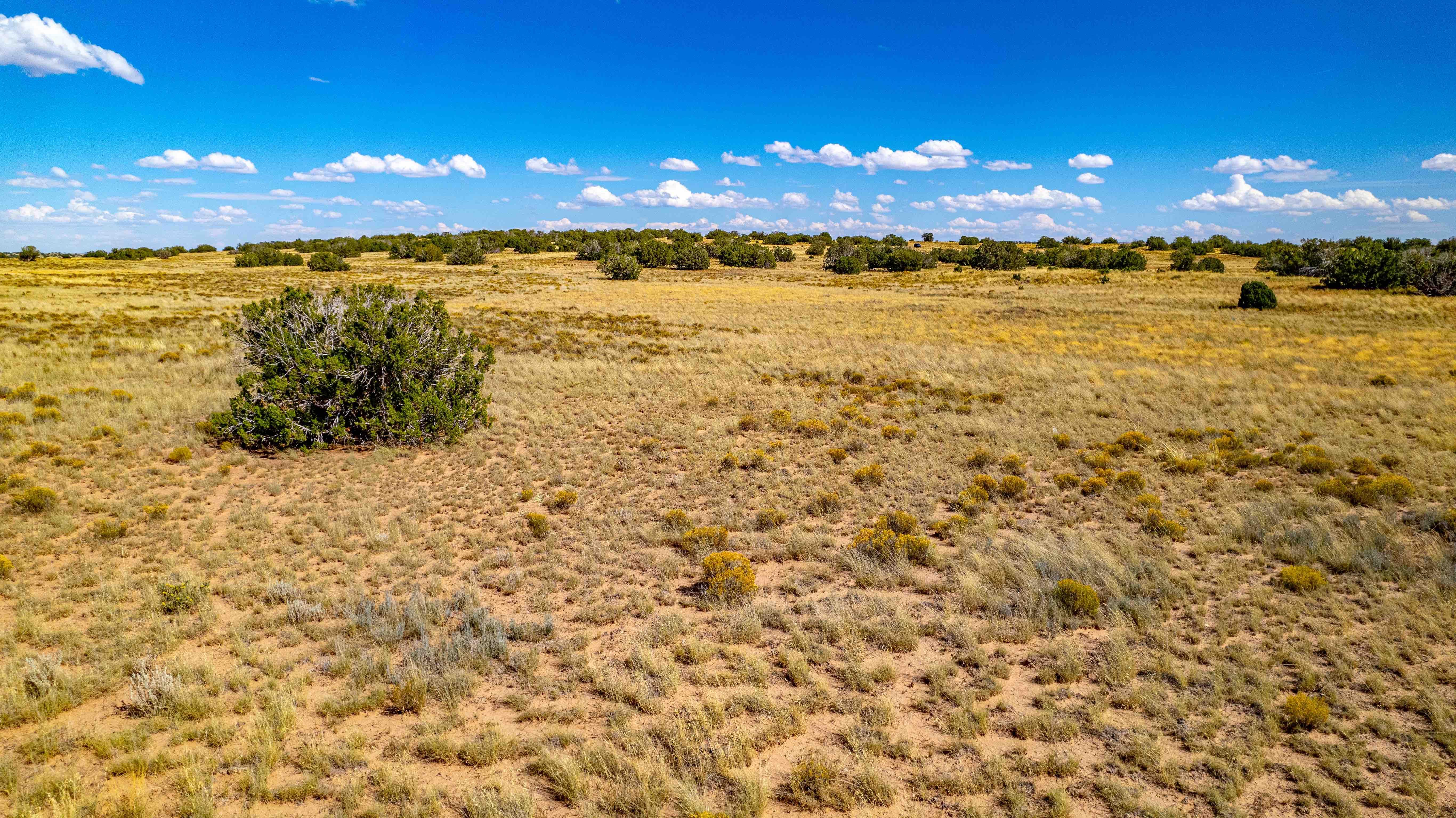 1.16 acres in Sanders, AZ, 86512 | MLS: 0474-2024-AZAPA | LandWatch