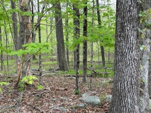 Chepachet, Providence County, RI Undeveloped Land for sale Property ID ...