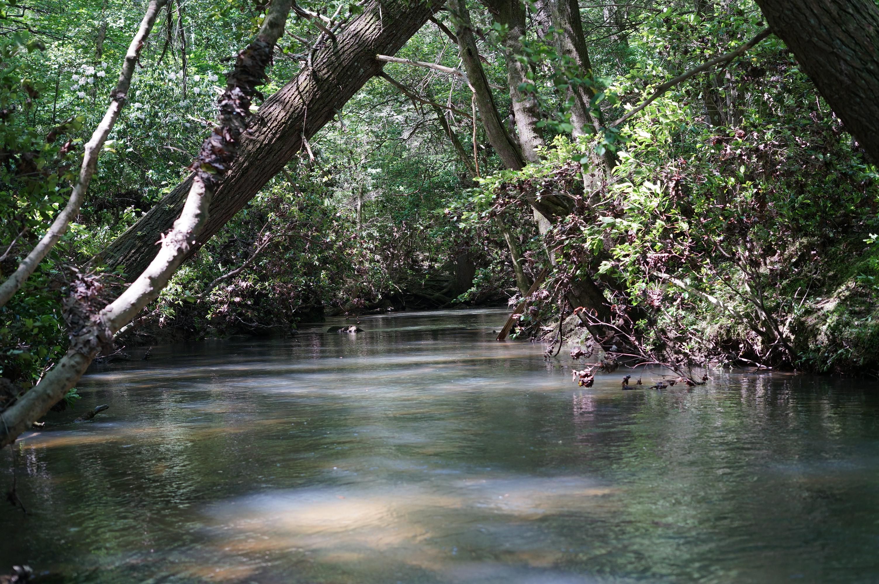 Wolfhaven Road, Spencer, TN 38585 | MLS: 1372917 | LandWatch