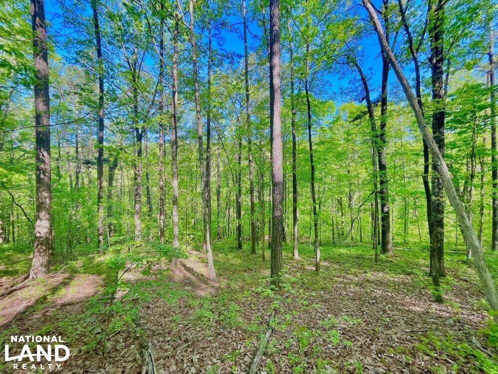 1820 Signal Valley Trail, Chelsea, AL 35043 | LandWatch