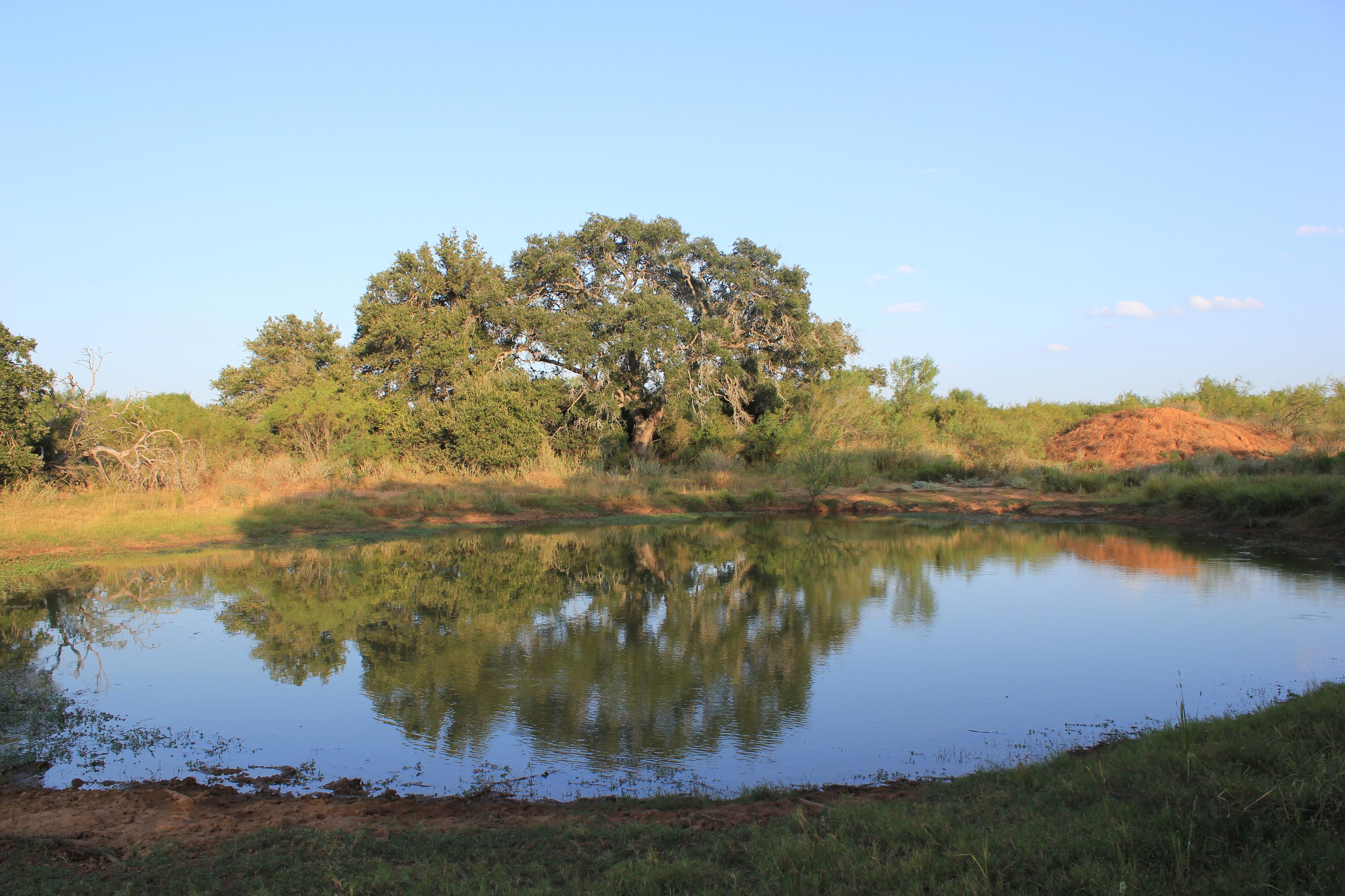 FM1582, Pearsall, TX 78061 | LandWatch