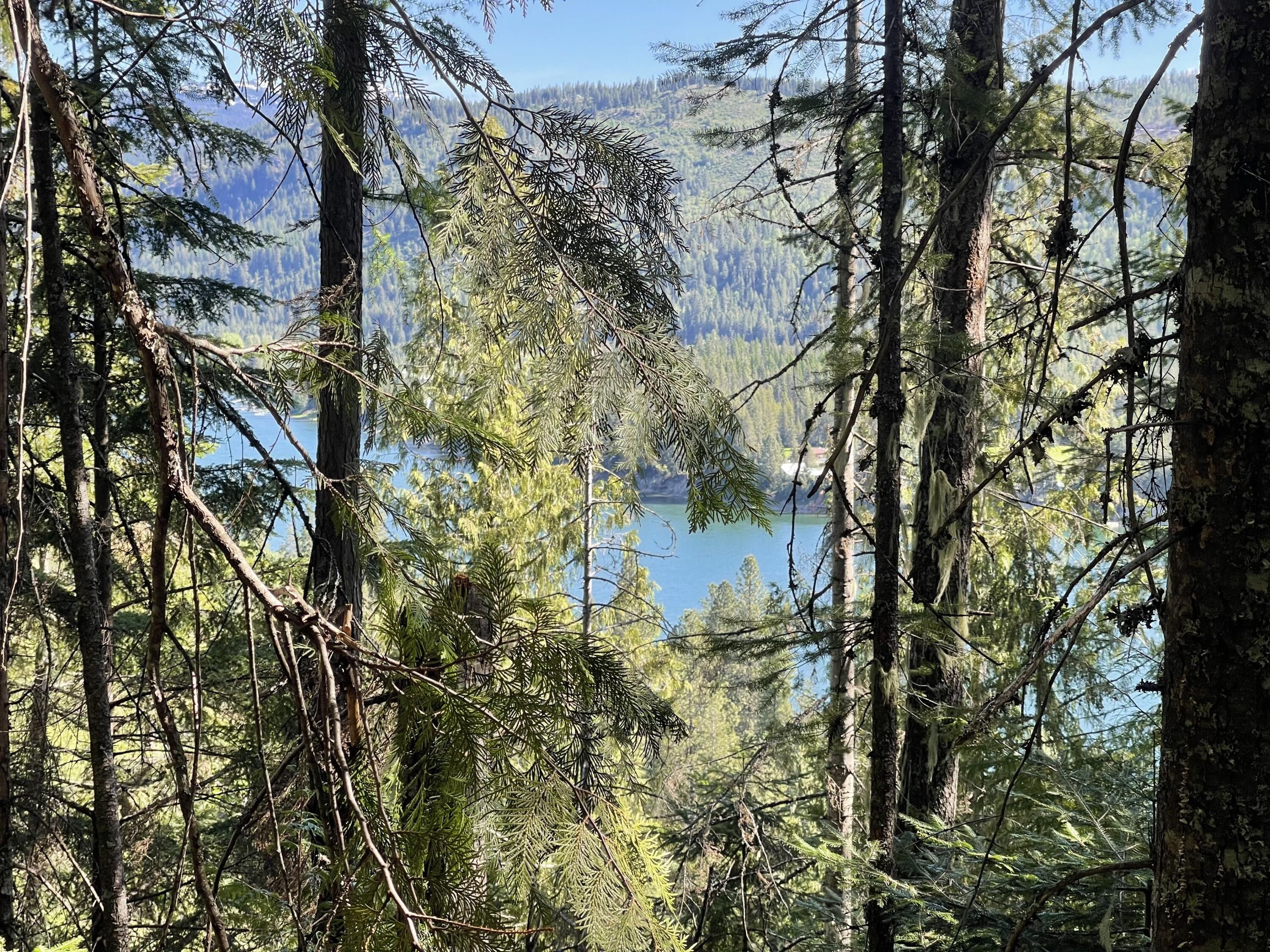 399XXX STATE ROUTE 20, Cusick, WA 99119 | MLS: 43396 | LandWatch