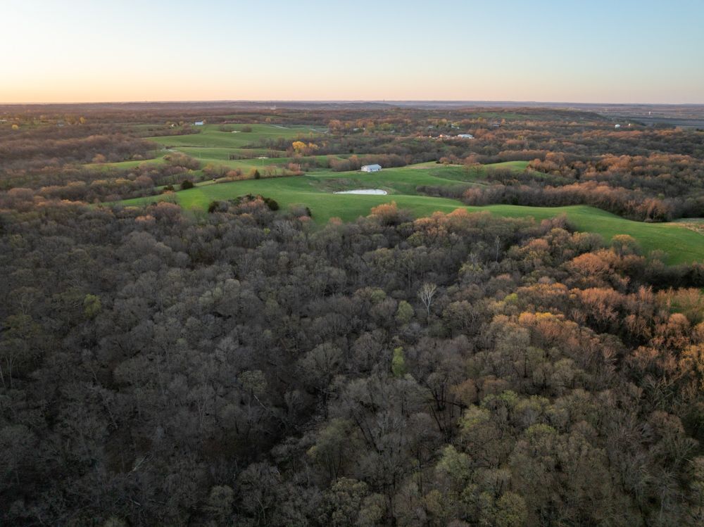 9787 Fox Lane, Orrick, MO 64077 | MLS: Ray 159 | LandWatch