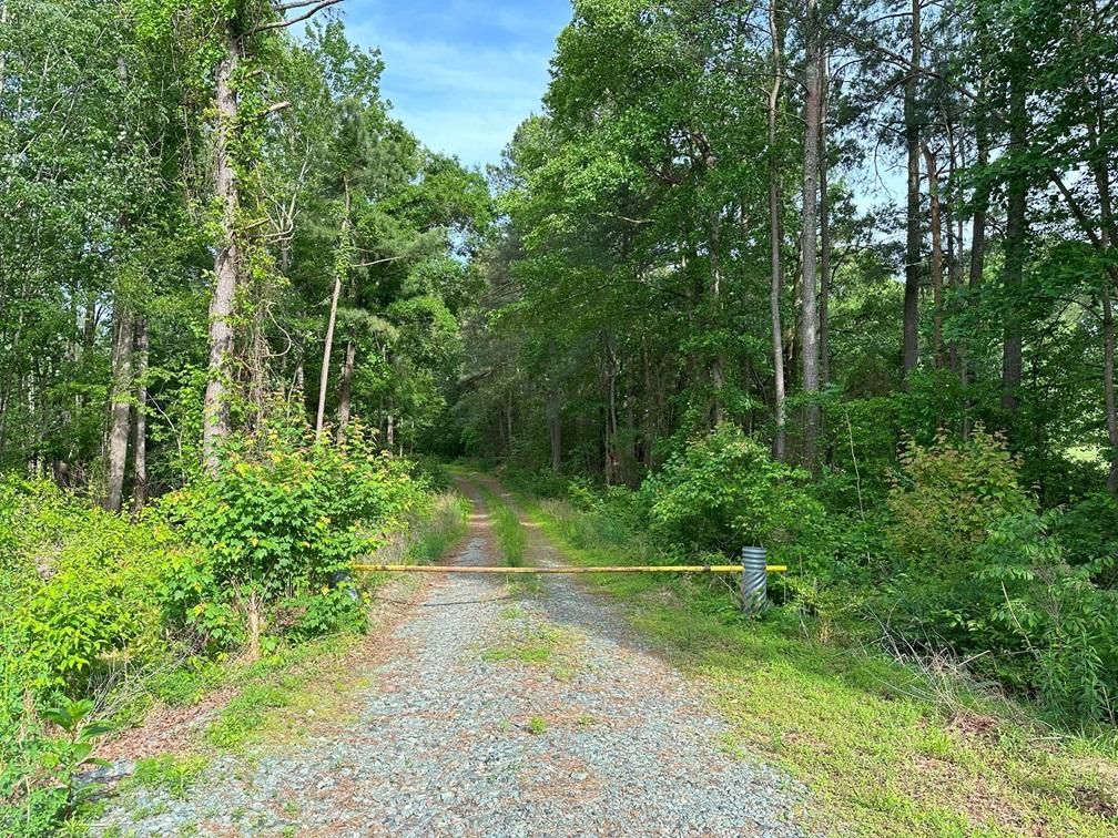 132 acres in Cunningham, VA, 22963 | MLS: B688 JR Martin Pitts | LandWatch