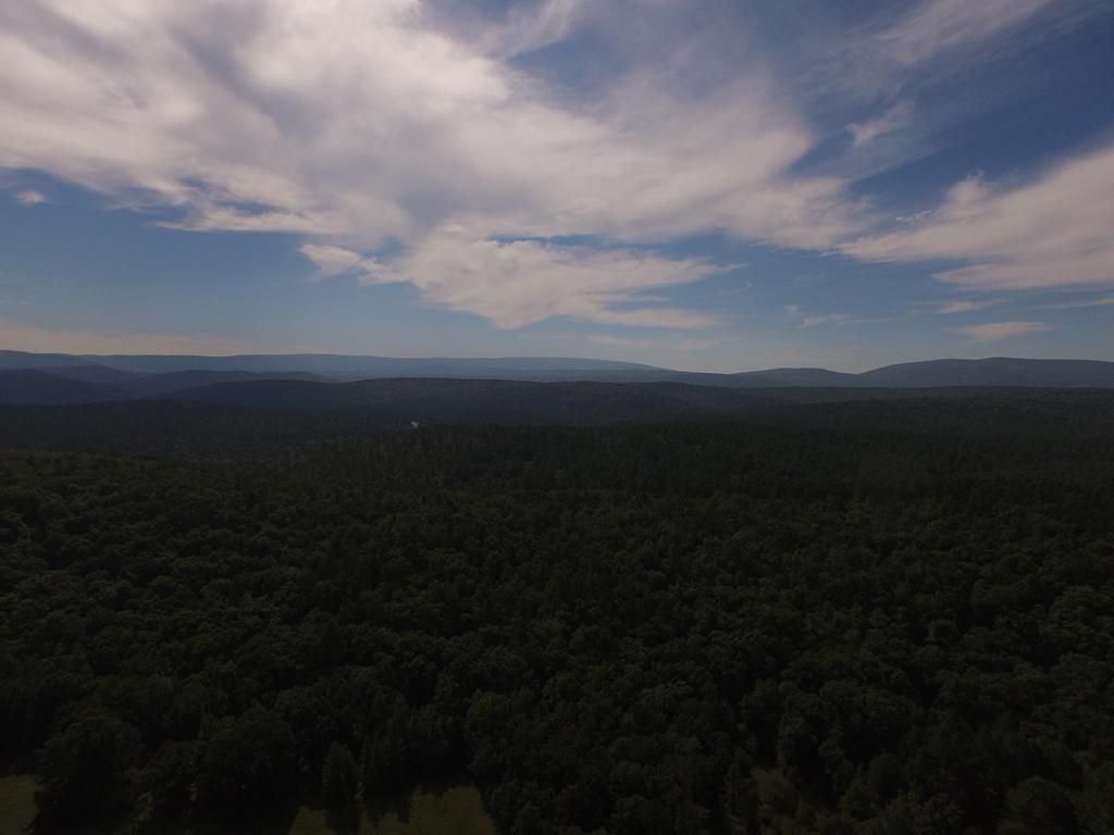 7.5 acres in Lequire, OK, 74943 | LandWatch