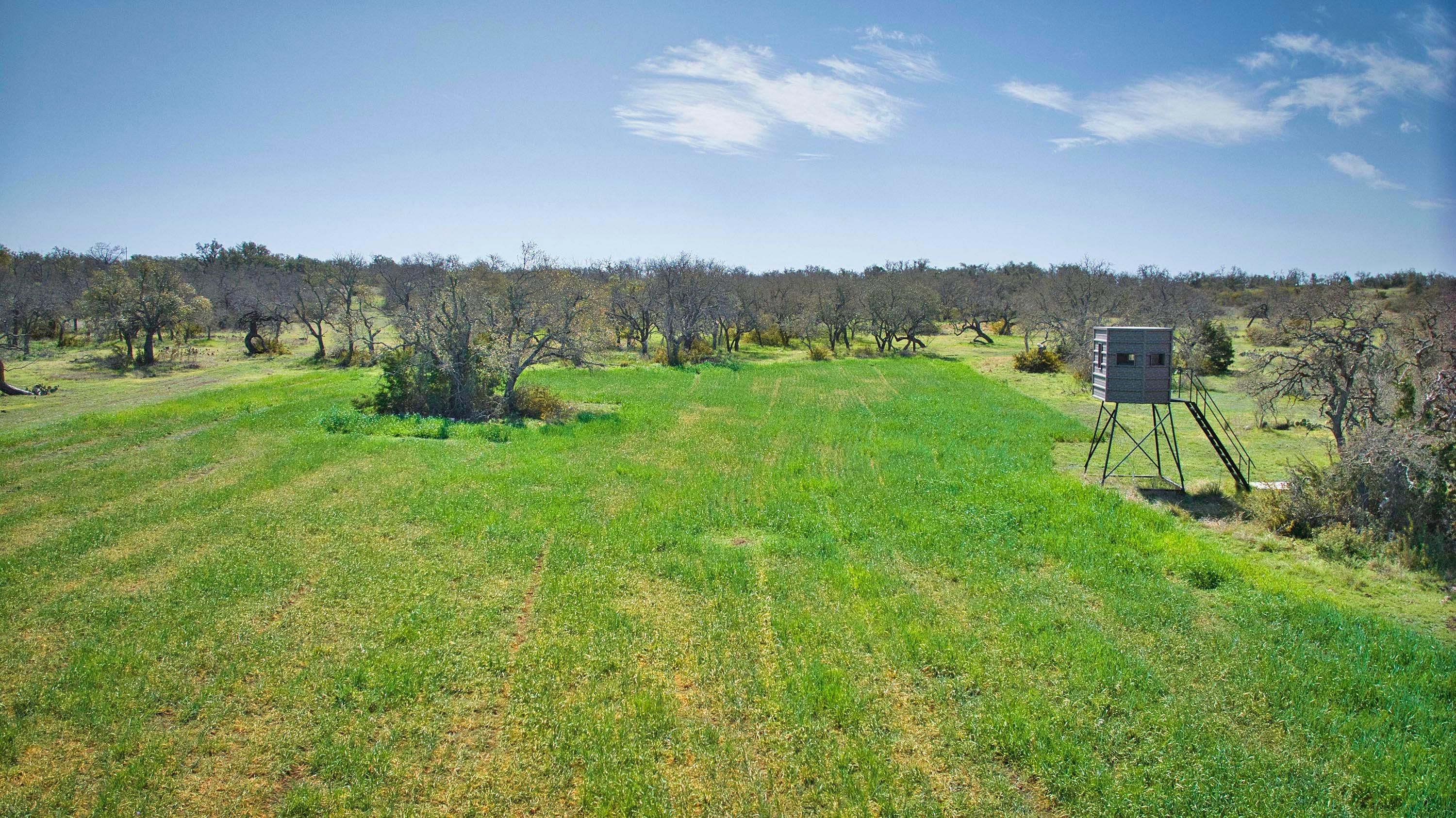 293 acres in Menard, TX, 76859 | LandWatch