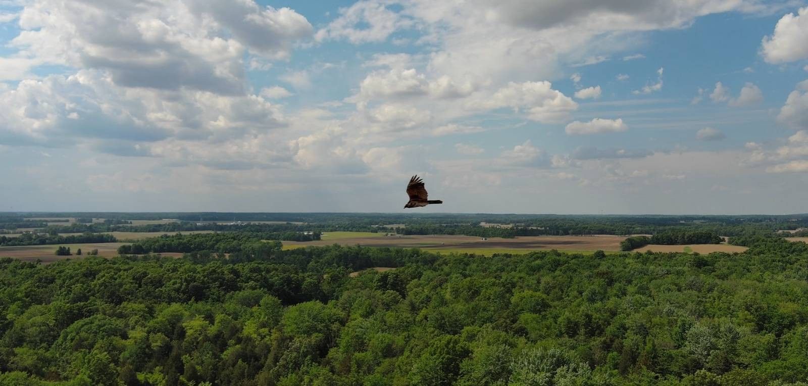 Sumner, Lawrence County, IL Lakefront Property, Waterfront Property for ...