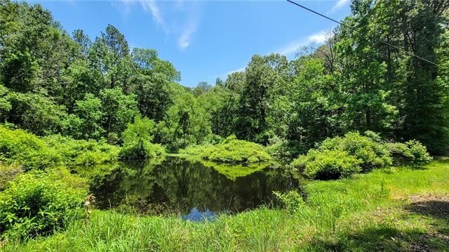 LOT 4, 0 MILL POND Road, Jena, LA 71342 | MLS: 2449001 | LandWatch