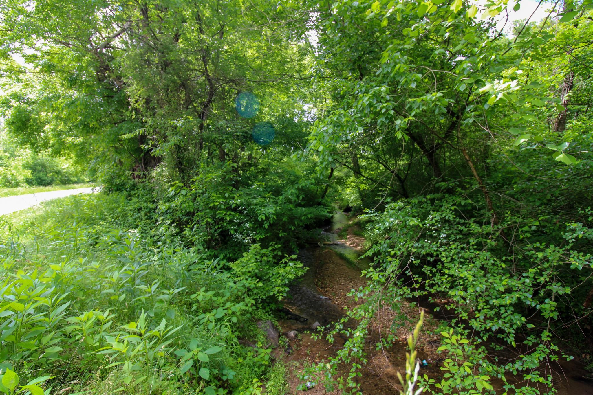 Cross Stitch Road, Dry Fork, VA 24549 | LandWatch