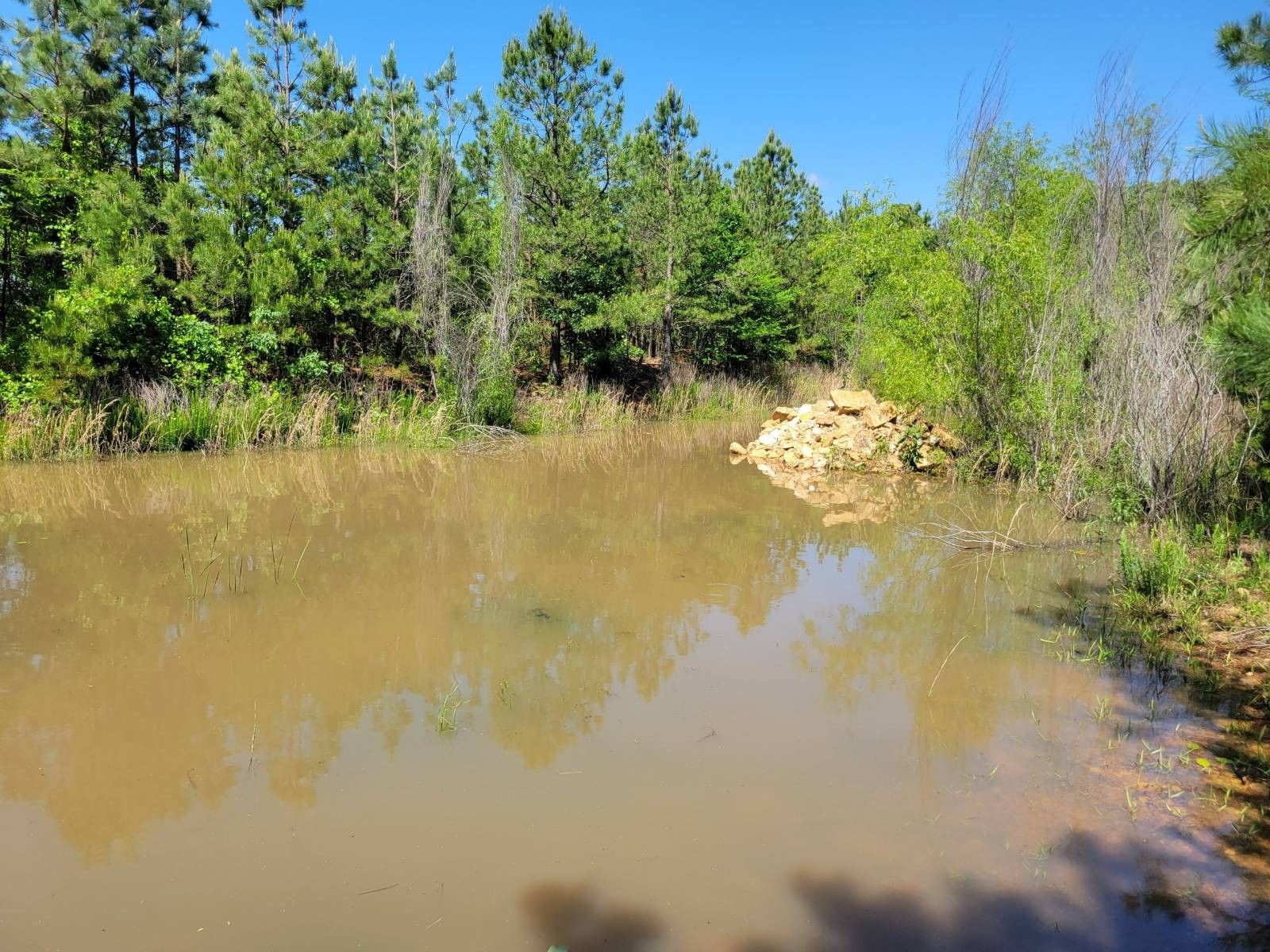 123 Rural Panola Mtn, Panola, OK 74559 | MLS: 11204155 | LandWatch