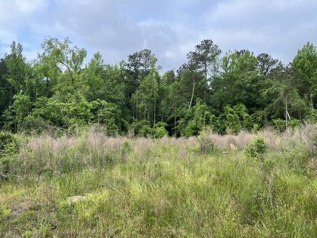 1 Central Plank Road, Wetumpka, AL 36092 | MLS: 556755 | LandWatch