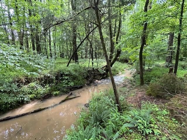 Silas Mercer Road Northeast, Crawfordville, GA 30631 | LandWatch