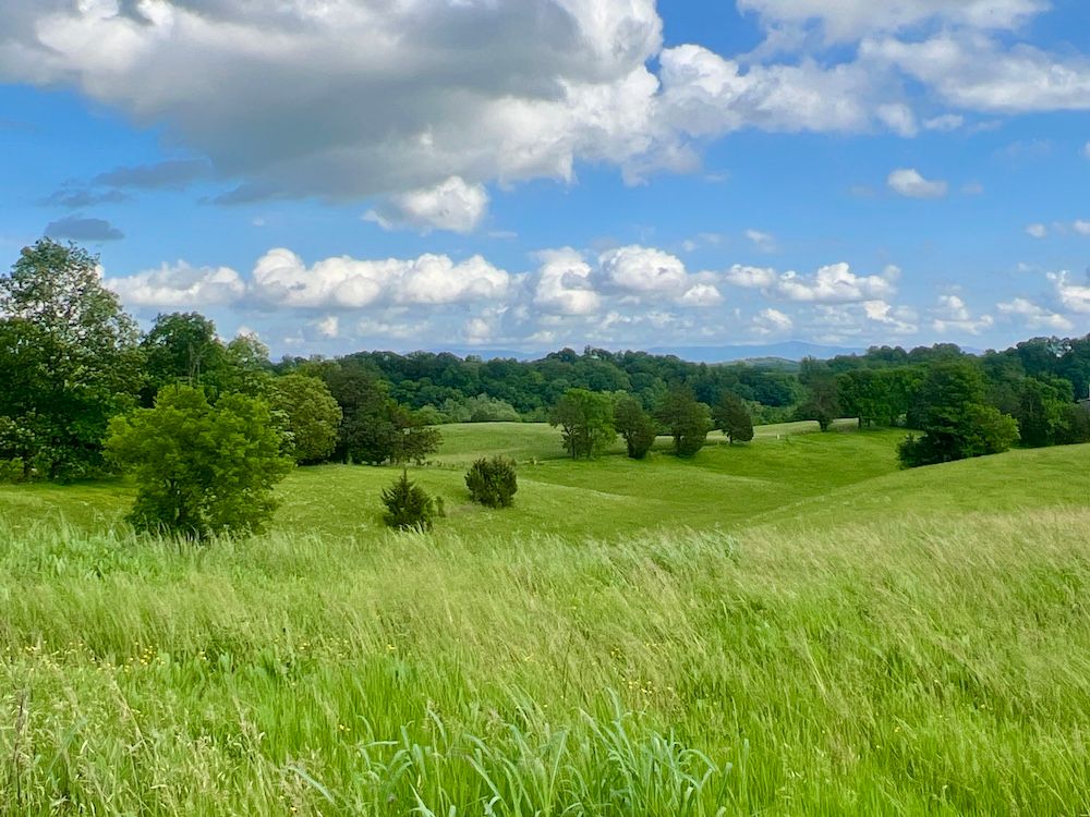 TBD Paul Weems Rd, Lot#WP001, Greeneville, TN 37745 | LandWatch