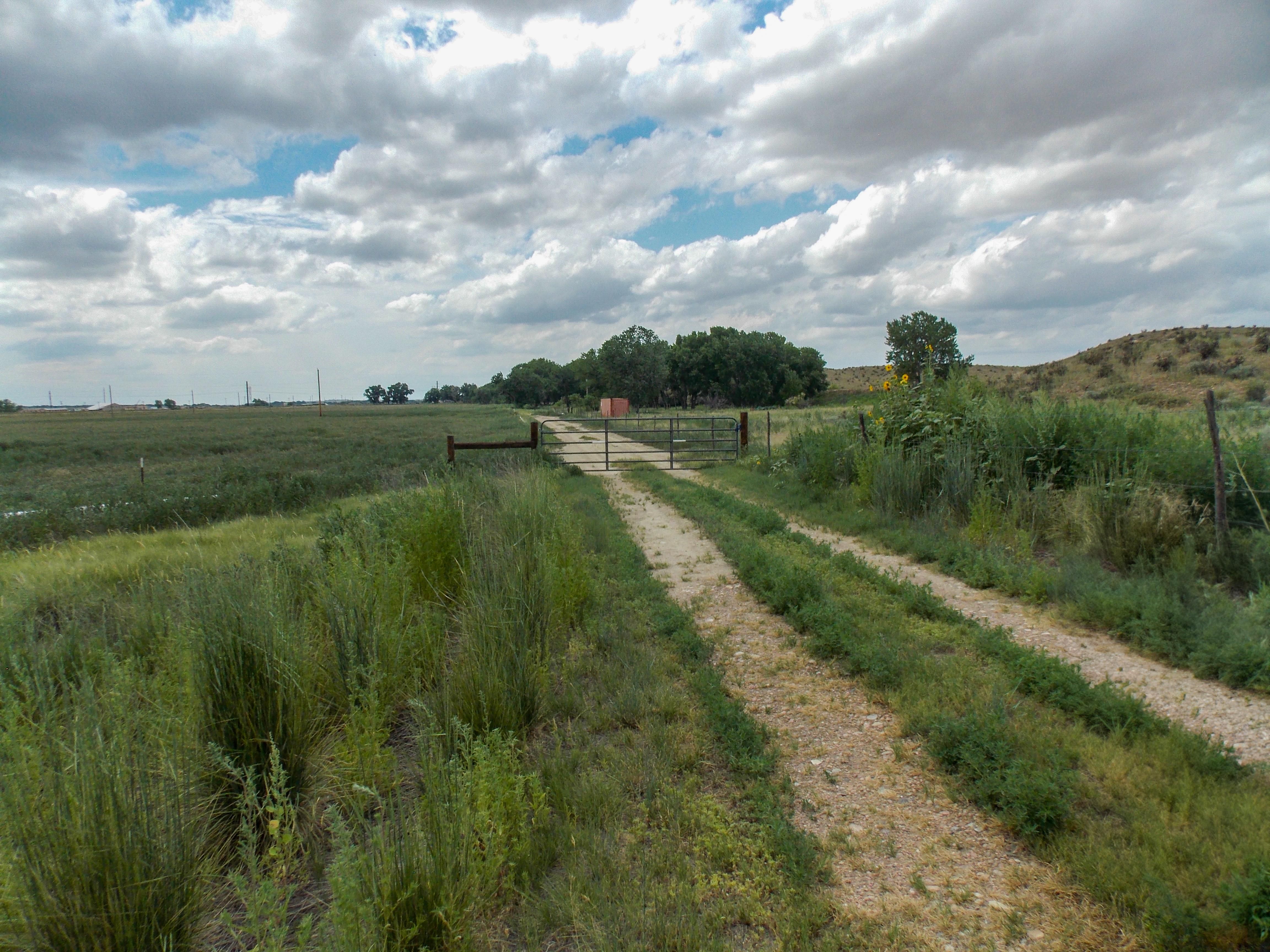 49.5 acres in Boone, CO, 81025 | MLS: 221312 | LandWatch