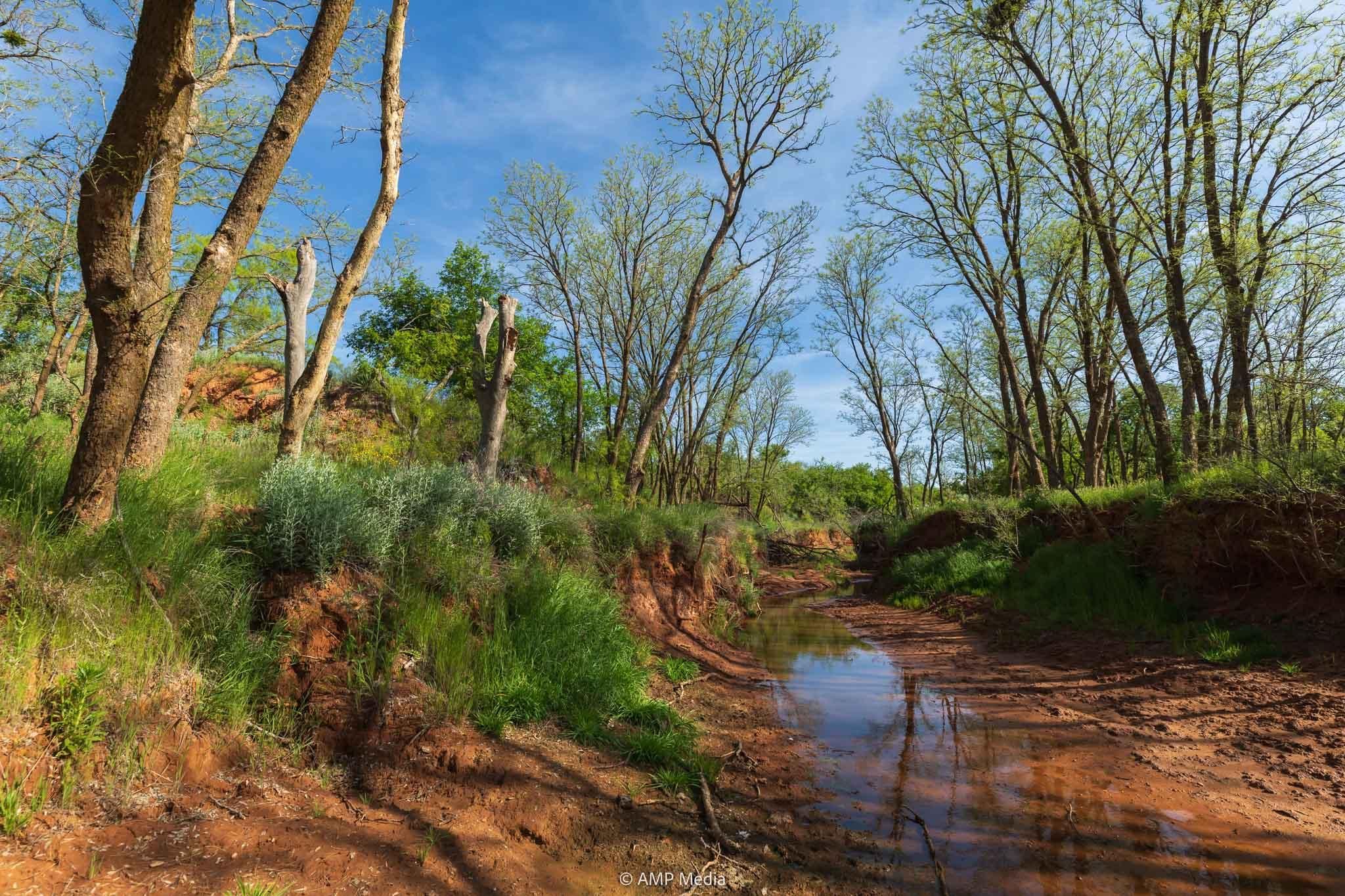 5449 FM452, Delwin, TX 79248 | LandWatch