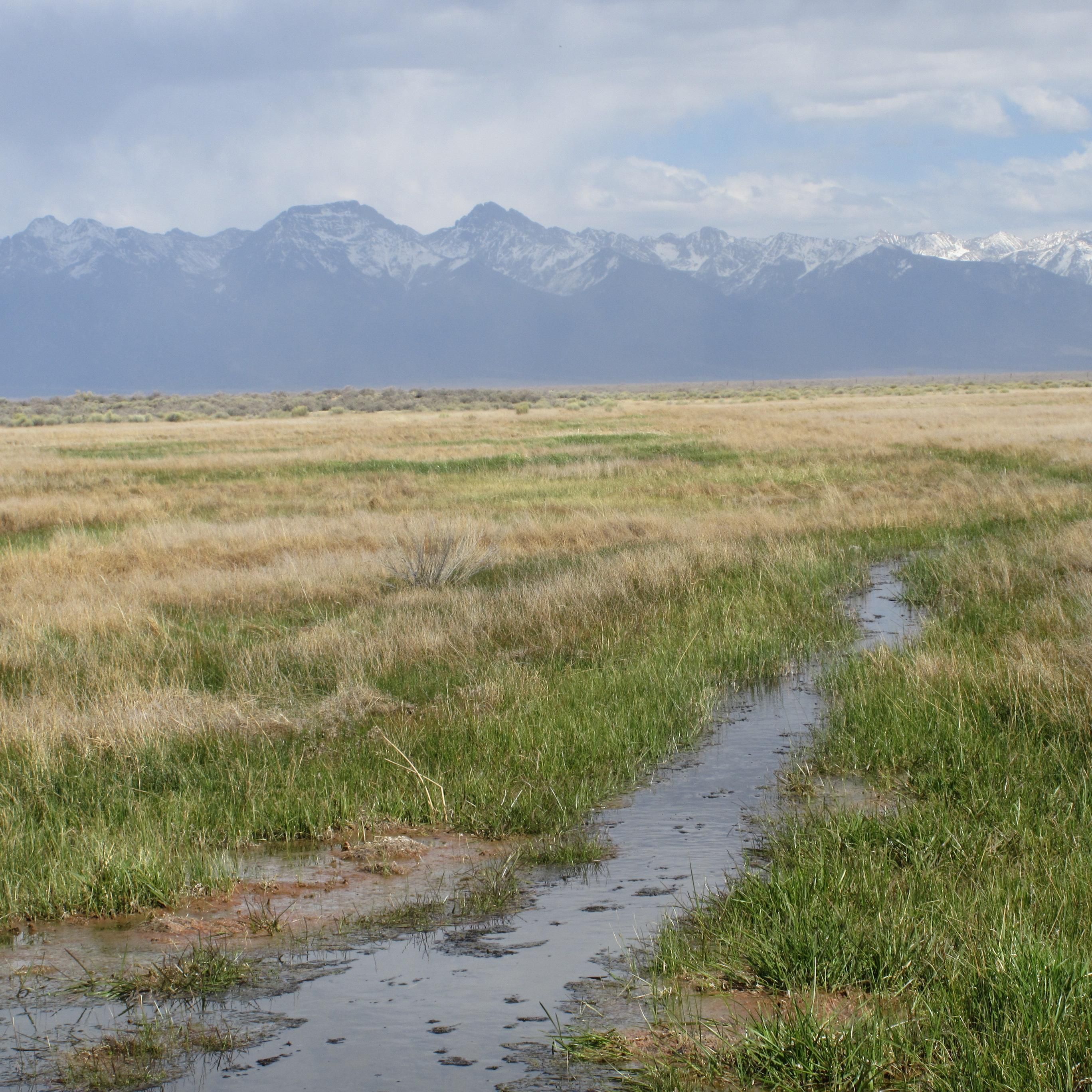 56063 County Road R, Saguache, CO 81149 | MLS: 812979 | LandWatch